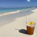 From Miami: Bimini or Grand Bahama Day Trip by Ferry - What Makes This Tour Stand Out