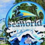 From Miami: Bus transfer to Orlando Theme Parks - The Parks: What You Can Expect