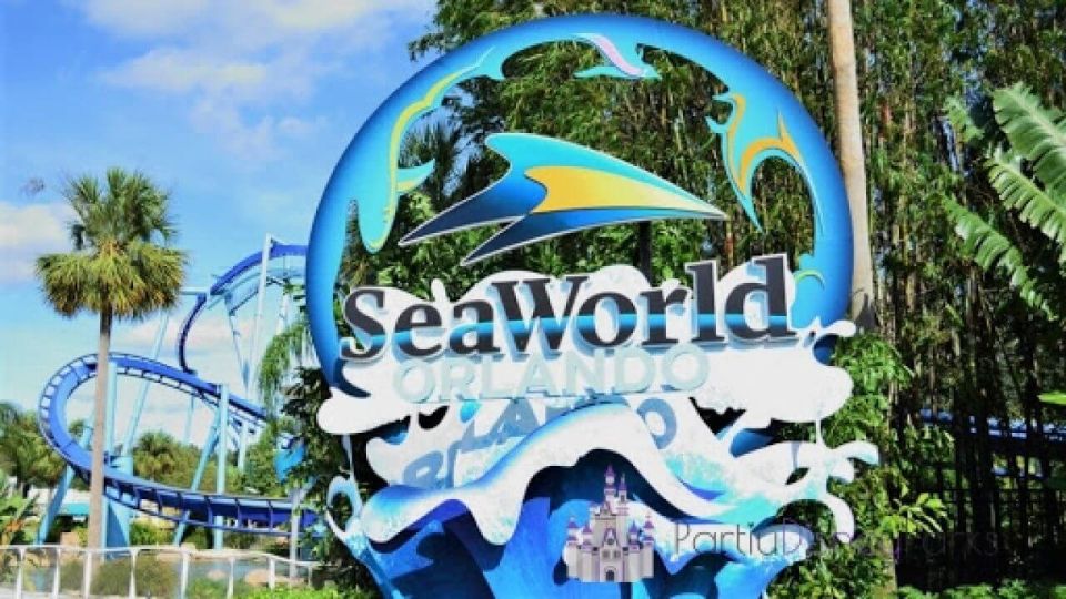 From Miami: Bus transfer to Orlando Theme Parks - The Parks: What You Can Expect