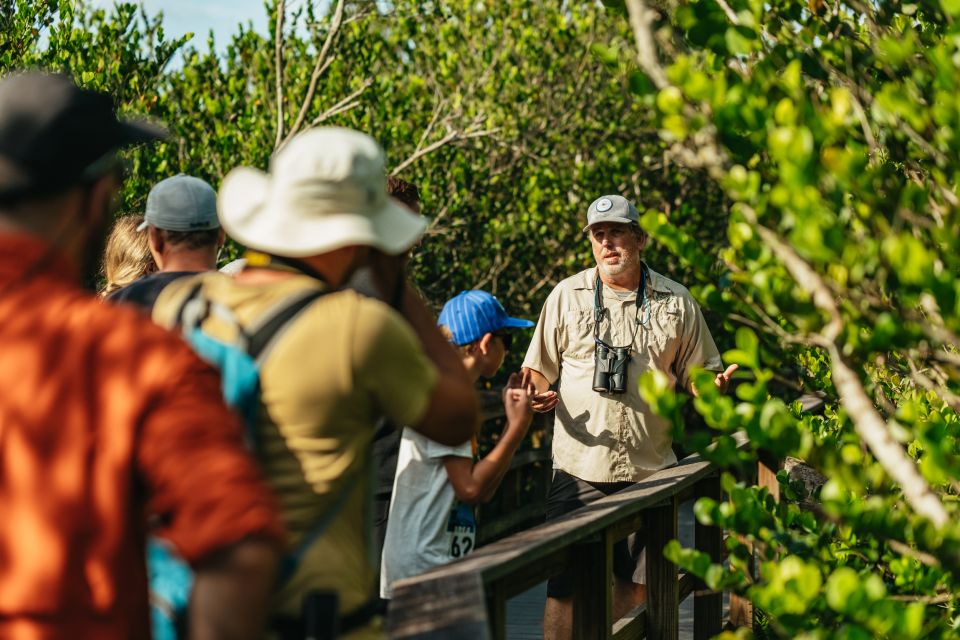 From Miami: Everglades Airboat Ride and Nature Walk - Key Points  
