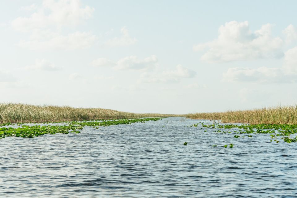 From Miami: Everglades Airboat, Wildlife Show & Bus Transfer - FAQ
