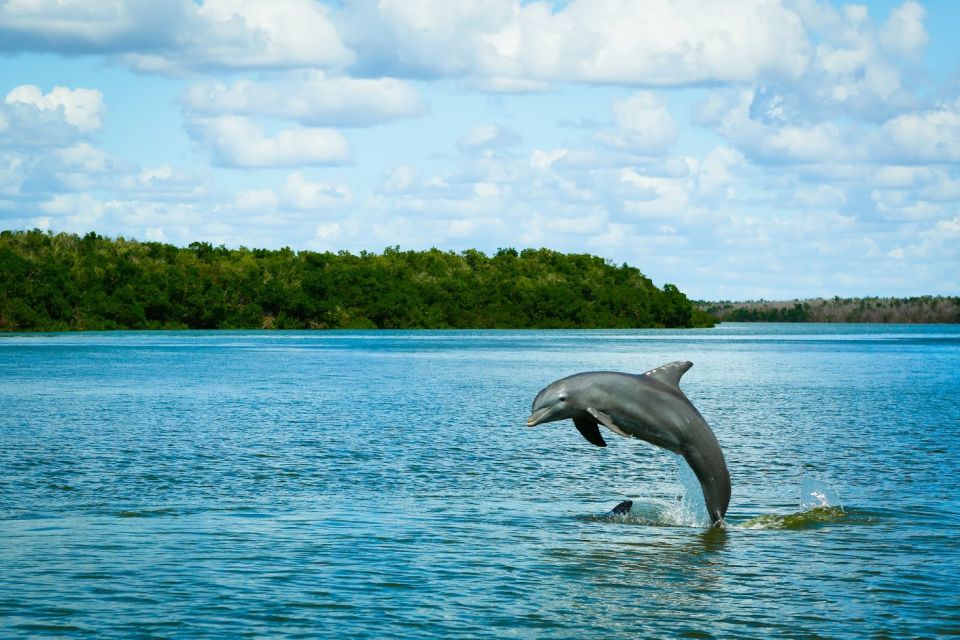 From Miami: Everglades Tour w/ Wet Walk, Boat Trips, & Lunch - Wet Walk in Big Cypress National Preserve: A Naturalist-Led Adventure