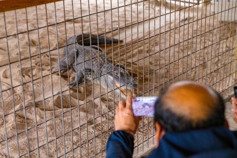 From Miami: Everglades Wildlife Show, Airboat & Bus Transfer - Final Thoughts