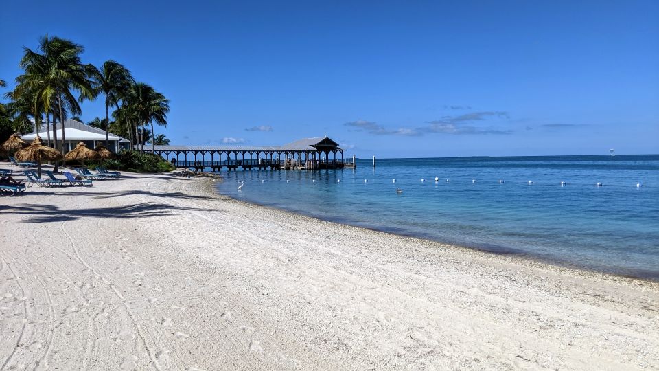 From Miami: Jet Ski & Leisure Day Trip in Key West - The Authenticity and Review Insights