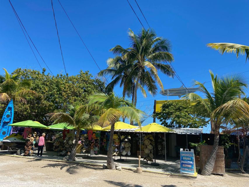 From Miami: Key Largo & Islamorada Private Open-Top Bus Tour - Detailed Breakdown of the Itinerary