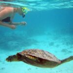 From Miami: Key West Day Trip - The Full Breakdown of the Miami to Key West Experience