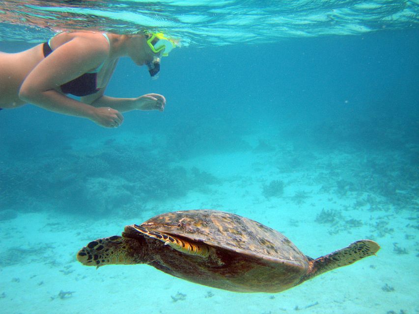 From Miami: Key West Day Trip - The Full Breakdown of the Miami to Key West Experience