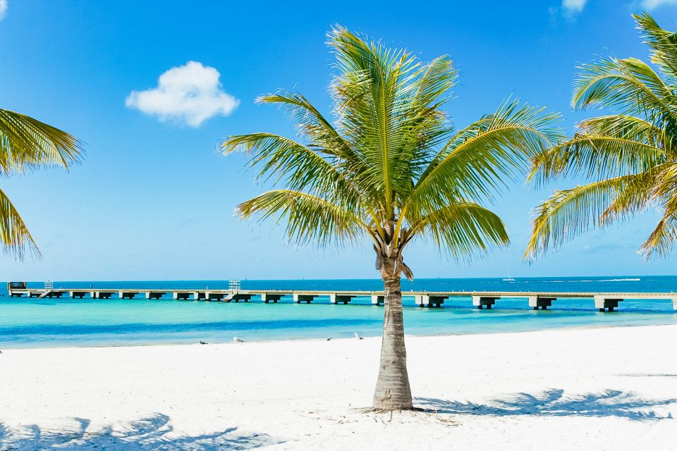 From Miami: Key West Day Trip - Who Is This Tour Best For?
