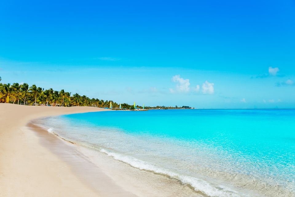 From Miami: Key West Day Trip - Practical Tips for Your Trip