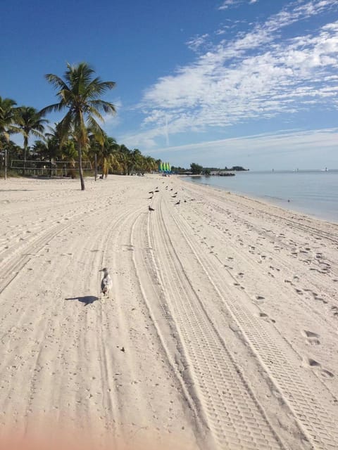 From Miami: Small Group Key West 1-Day Tour - What We Love About This Tour