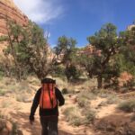 From Moab: 1-Day Horseshoe Canyon Exploration - What This Tour Offers: An In-Depth Look