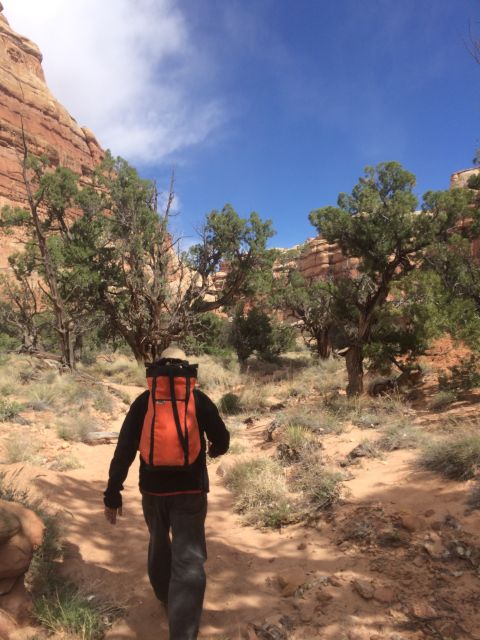 From Moab: 1-Day Horseshoe Canyon Exploration - What This Tour Offers: An In-Depth Look