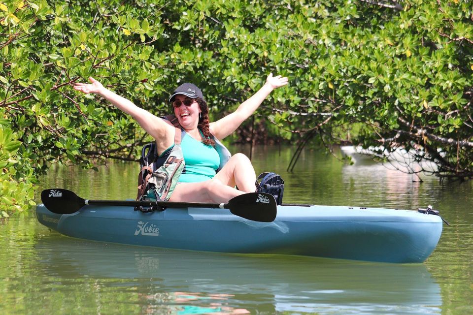 From Naples, FL: Marco Island Mangroves Kayak or Paddle Tour - Why This Tour Delivers Value