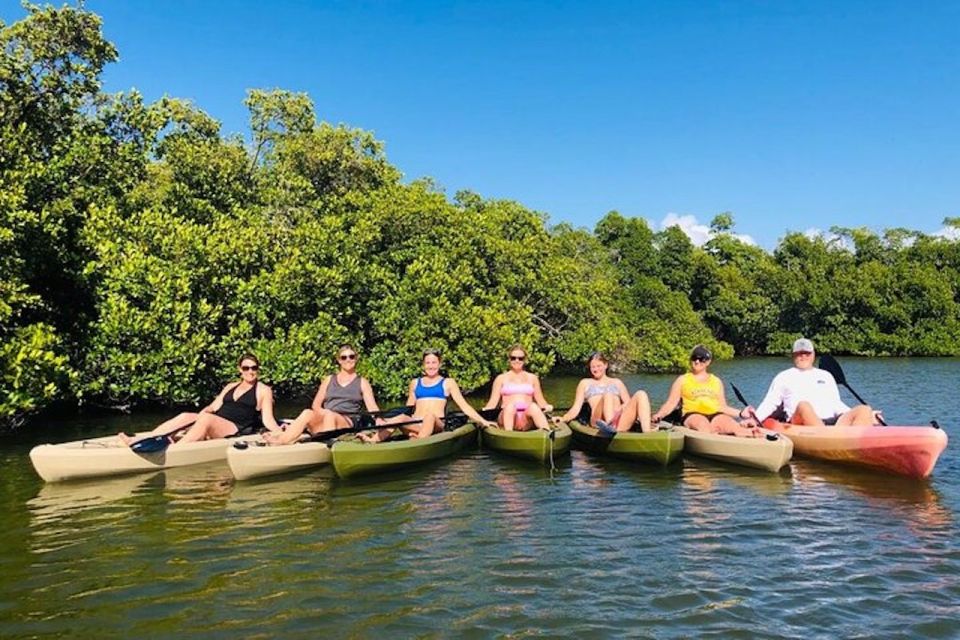 From Naples, FL: Marco Island Mangroves Kayak or Paddle Tour - Insights from Reviewers: What Sets It Apart