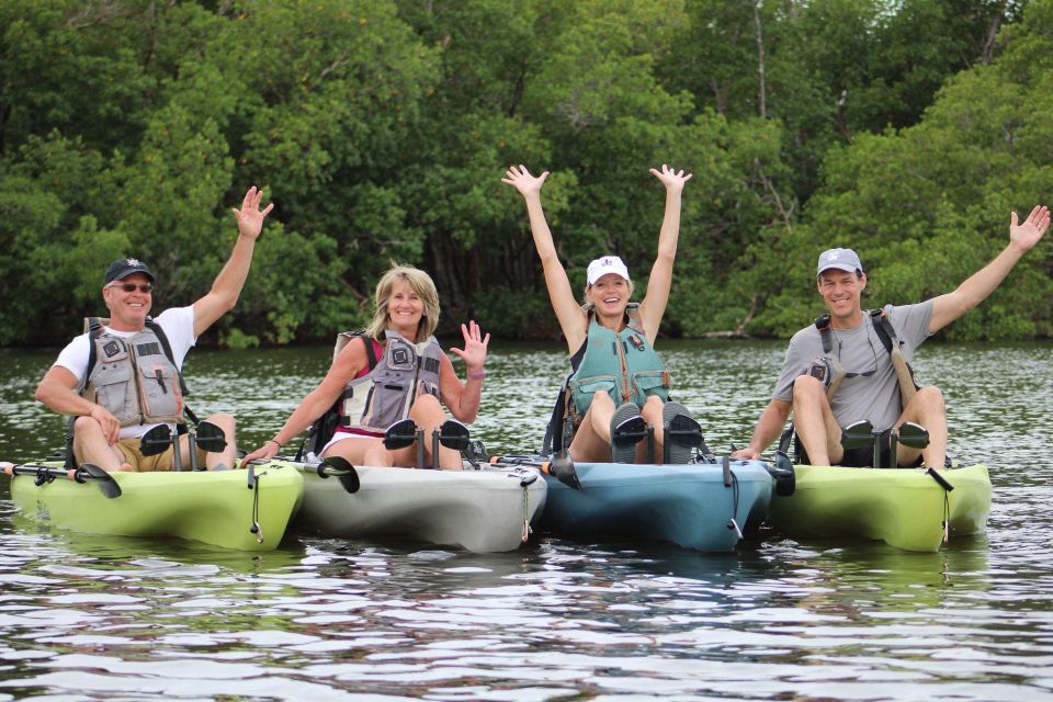 From Naples, FL: Marco Island Mangroves Kayak or Paddle Tour - Who Is This Tour Best For?