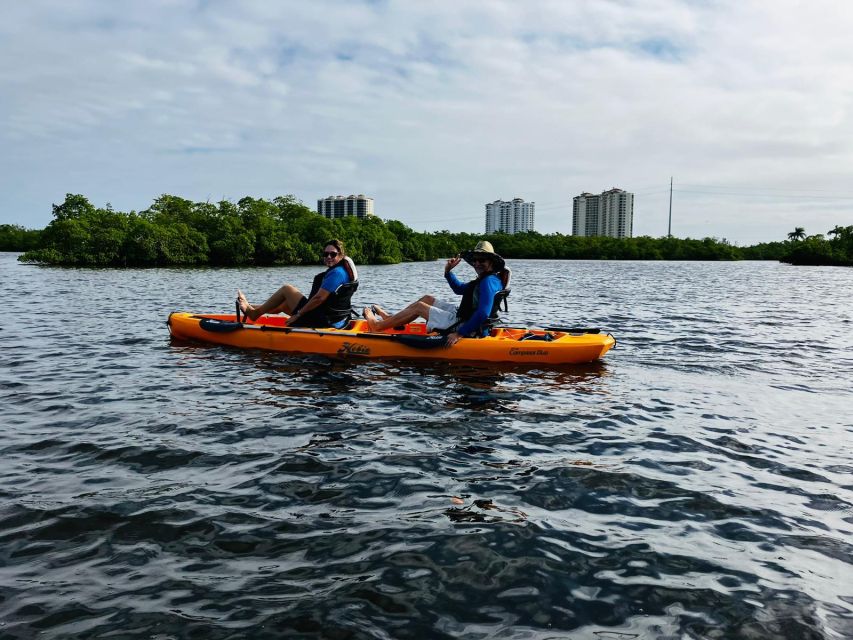 From Naples, FL: Marco Island Mangroves Kayak or Paddle Tour - Final Thoughts