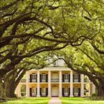 From New Orleans: Oak Alley or Laura Plantation Tour - Detailed Breakdown: Is It Worth It?