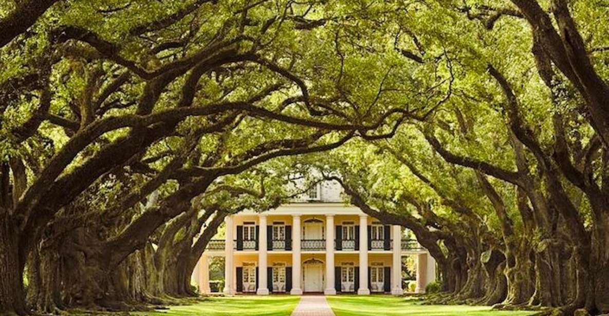 From New Orleans: Oak Alley or Laura Plantation Tour - Detailed Breakdown: Is It Worth It?