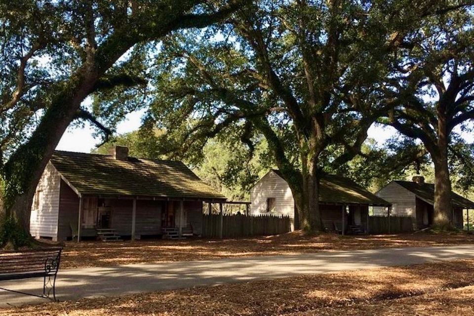 From New Orleans: Oak Alley or Laura Plantation Tour - Who Will Love This Tour?