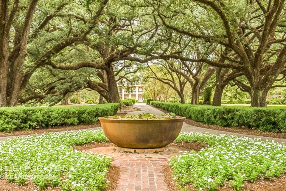 From New Orleans: Oak Alley Plantation Tour - The Value of This Tour