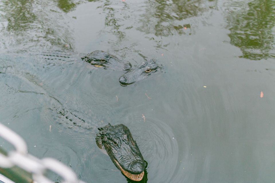 From New Orleans: Swamp Airboat, 2 Plantation Tours & Lunch - Exploring Louisiana’s Natural Beauty on an Airboat Ride