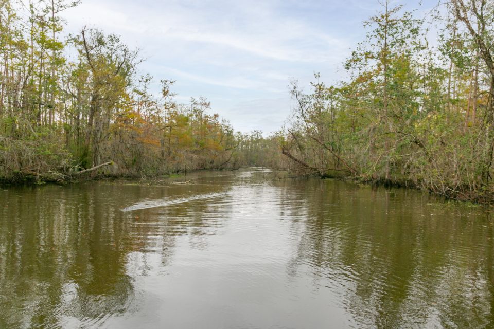 From New Orleans: Swamp Airboat, 2 Plantation Tours & Lunch - What’s Included and What’s Not