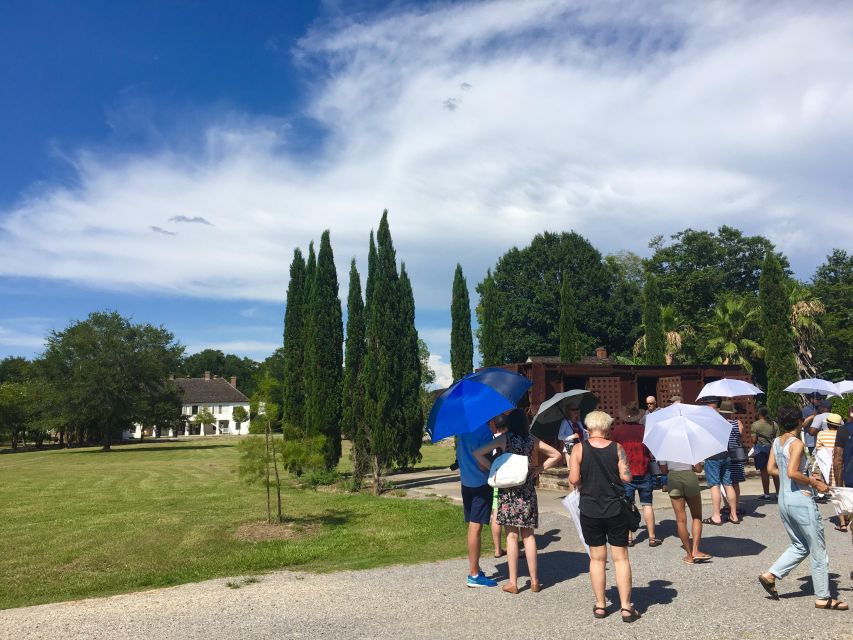 From New Orleans: Whitney and Laura Guided Plantation Tour - Key Points