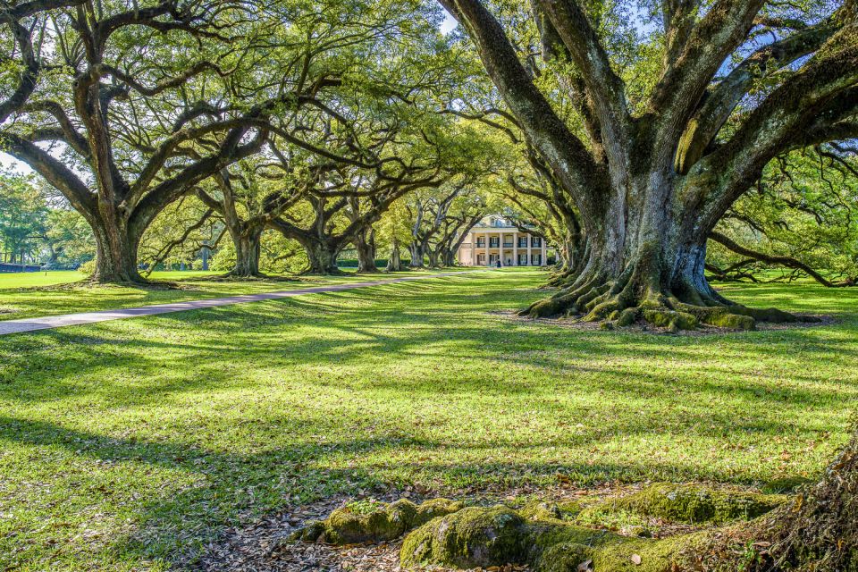 From New Orleans: Whitney Plantation Ticket & Transportation - A Deep Dive into the Whitney Plantation Tour  
