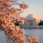From New York: New Haven, Rhode Island and Boston 2-Day Trip - Transportation, Accommodation, and Practicalities