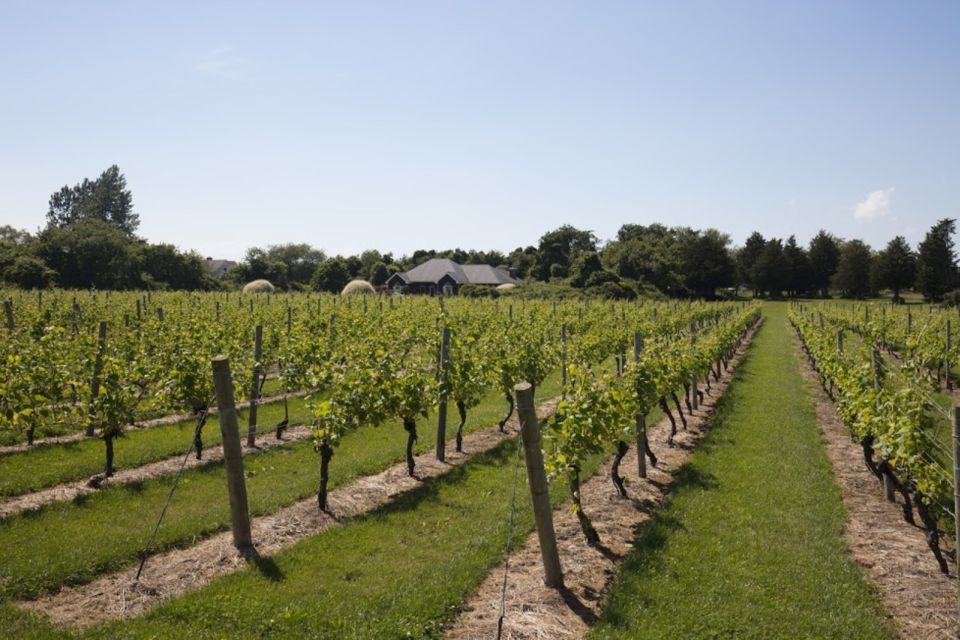 From NYC: Hamptons, Sag Harbor, and Outlet Shopping Day Trip - Exploring the Day Trip: What You Can Expect