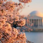 From NYC: Niagara Falls, Washington DC and Boston 4-Day Trip - A Deep Dive into the 4-Day Journey