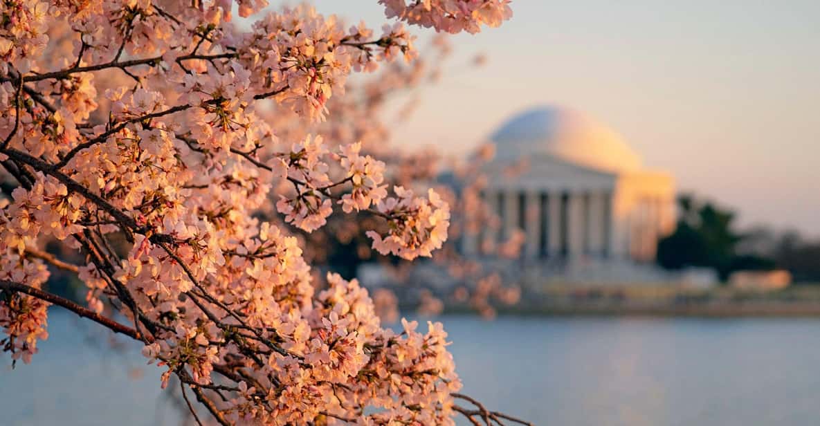 From NYC: Niagara Falls, Washington DC and Boston 4-Day Trip - A Deep Dive into the 4-Day Journey
