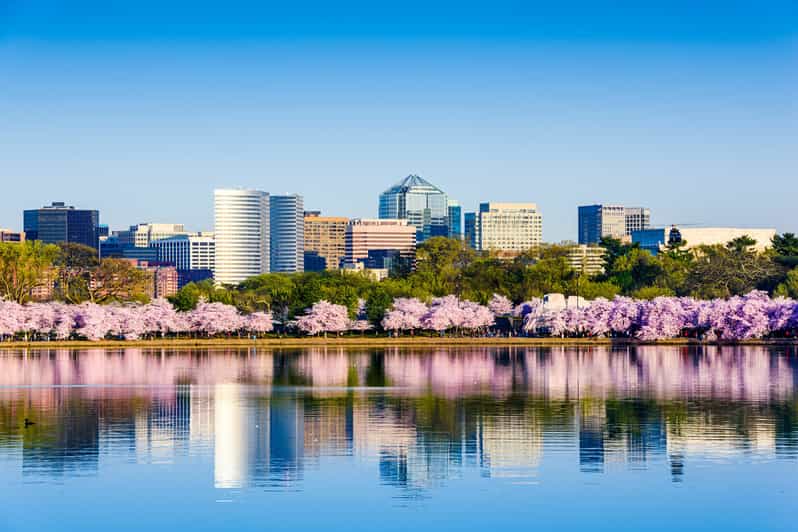 From NYC: Private Washington & Philadelphia Tour in 1 Day - Practical Details & What to Expect