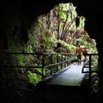 From Oahu: Big Island Volcano Adventure - Authentic Insights from Past Travelers