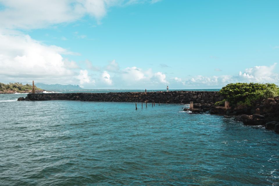 From Oahu: Kauai Highlights & Movie Sites - Detailed Breakdown of the Day