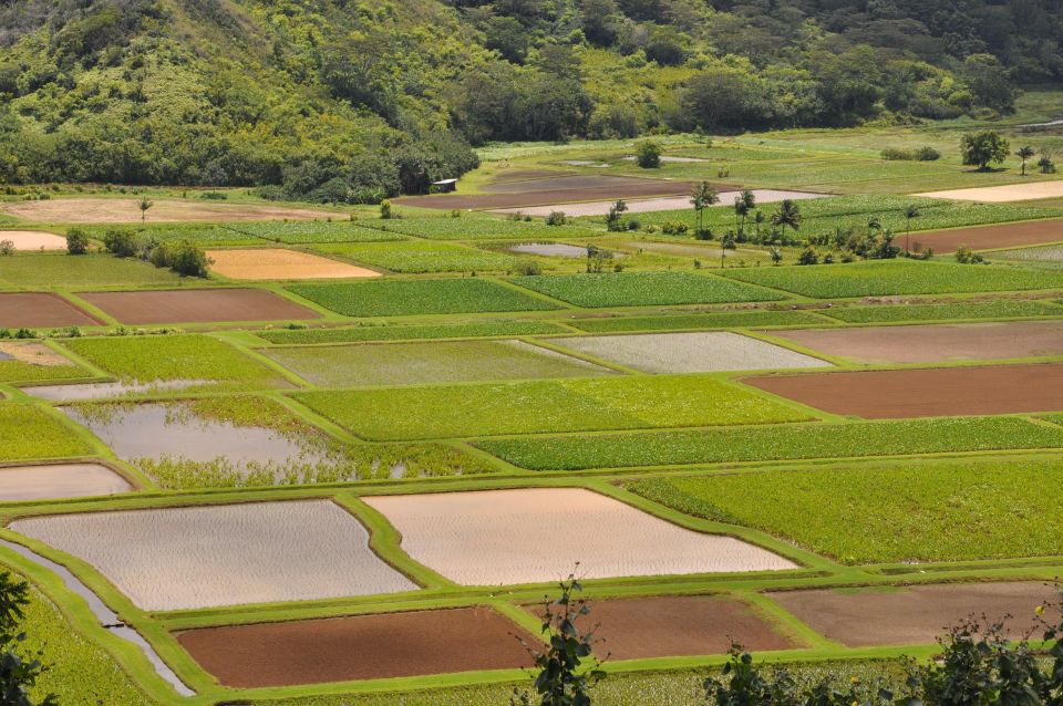 From Oahu: Kauai Highlights & Movie Sites - Who Should Consider This Tour?
