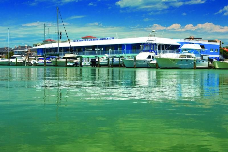 From Orlando: Clearwater Beach and Marine Aquarium Admission - Key Points