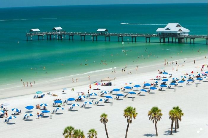 From Orlando: Clearwater Beach and Marine Aquarium Admission - Clearwater Marine Aquarium: The Star of the Show