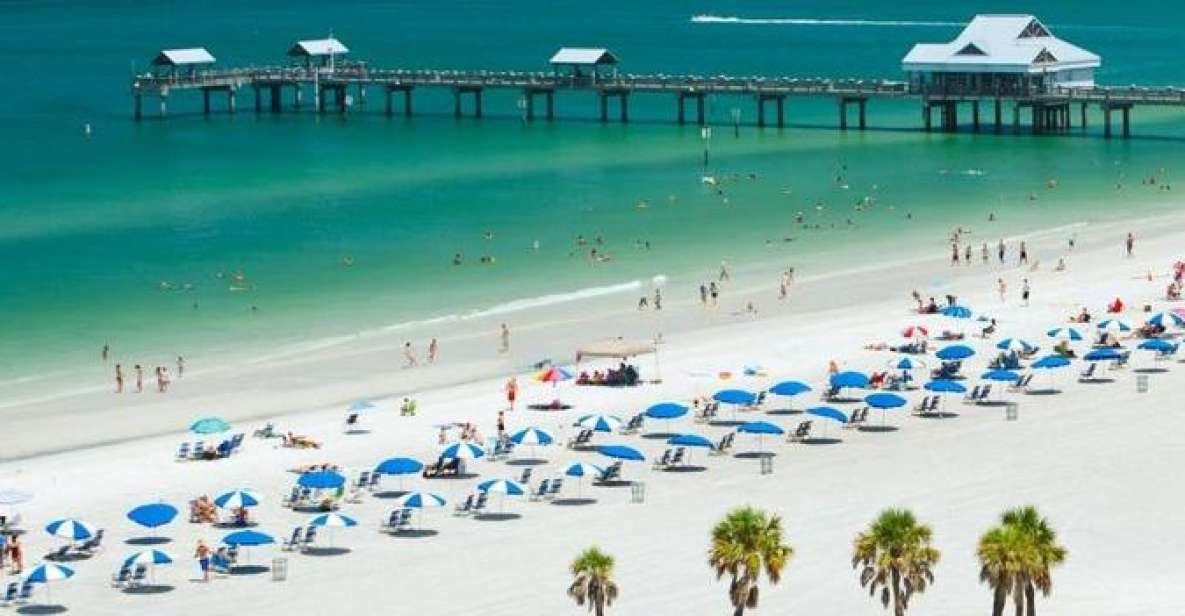From Orlando: Clearwater Beach and Marine Aquarium Admission - How the Day Unfolds
