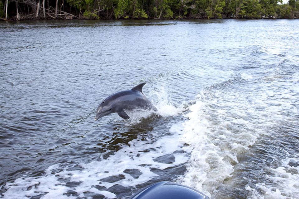 From Panama City, FL: Shell Island Ferry - Key Points