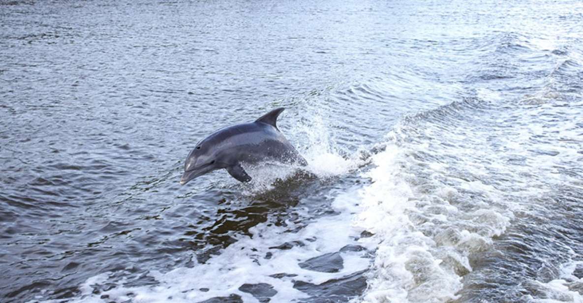 From Panama City, FL: Shell Island Ferry - Authentic Insights from Reviewers