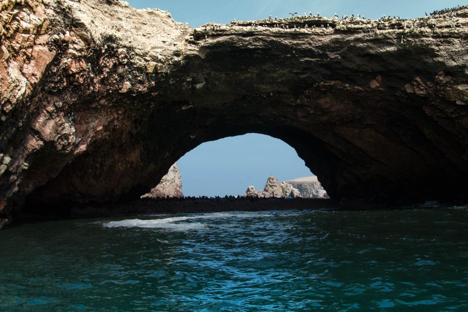 From Paracas: Ballestas Islands tour all Inclusive - Key Points  