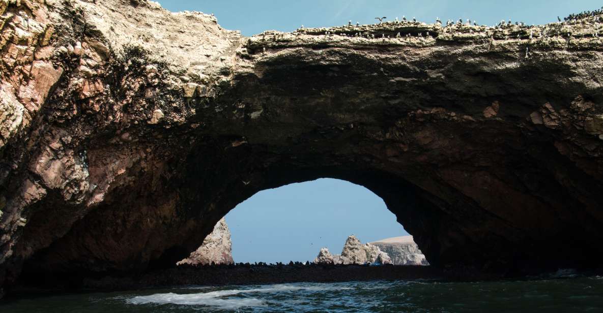 From Paracas: Ballestas Islands tour all Inclusive - A Detailed Breakdown of the Itinerary