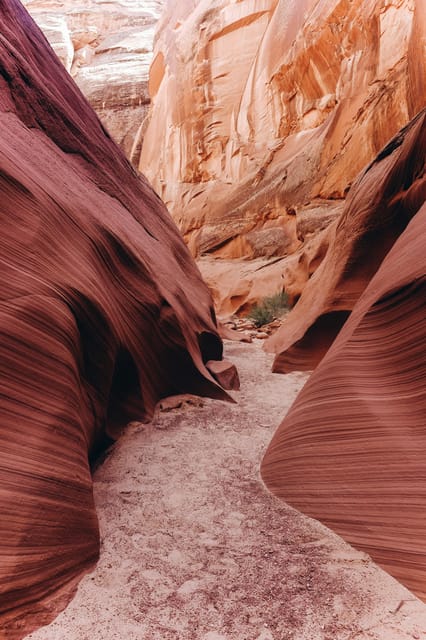 From Phoenix: Antelope Canyon and Horseshoe Bend Day Tour - What’s Included and What’s Not