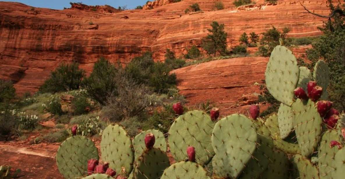 From Phoenix: Full-Day Sedona Small-Group Tour - Key Points: