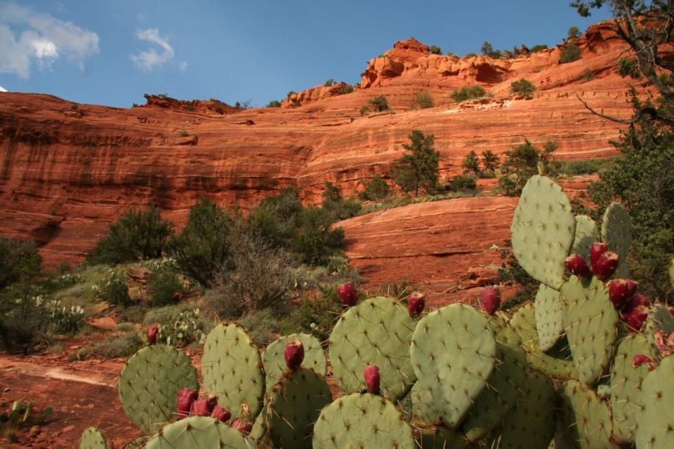 From Phoenix: Full-Day Sedona Small-Group Tour - Who Should Book This Tour?