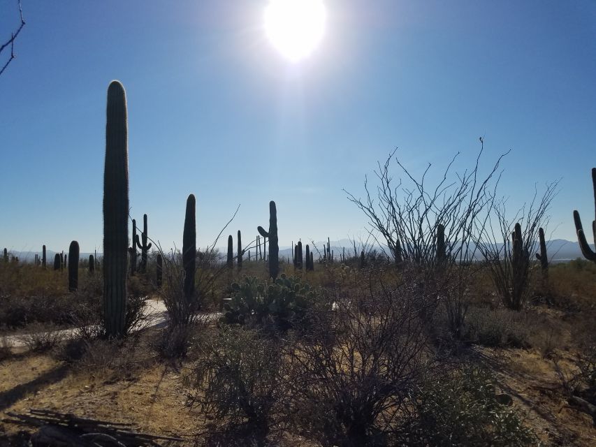 From Phoenix: Tombstone and Bisbee Day Tour - Who Would Enjoy This Experience