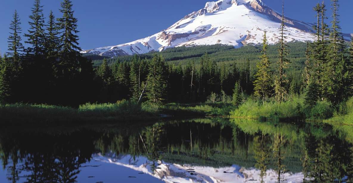 From Portland: Columbia Gorge Waterfalls and Mt. Hood Tour - Who Would Love This Tour?