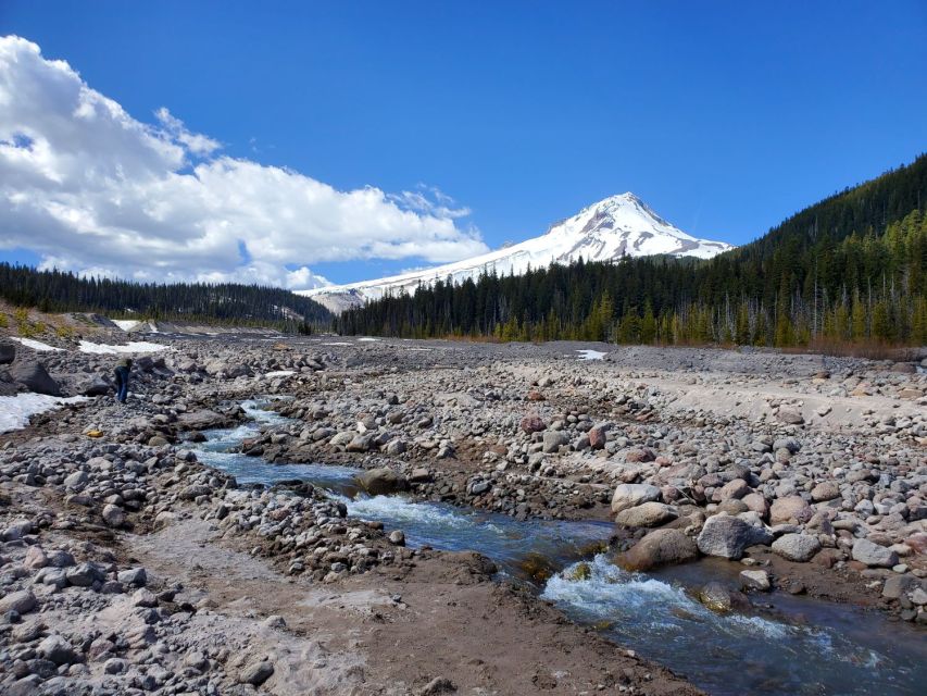 From Portland: Full Day Gorge Waterfalls & Mt. Hood Tour - Who Should Consider This Tour?