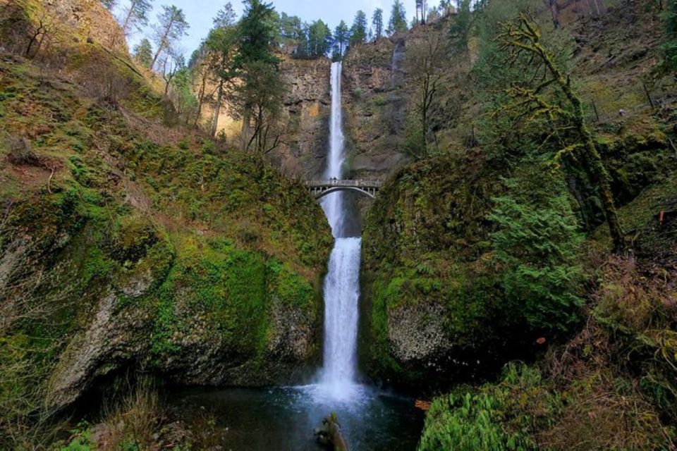 From Portland: Half-Day Columbia River Gorge Waterfalls Tour - The Experience in Detail: What to Expect and Why It Matters